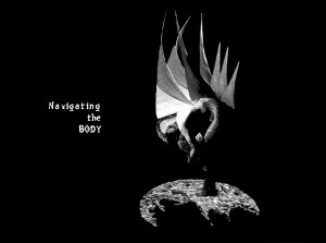 Navigating the Body | Susan Harman Art